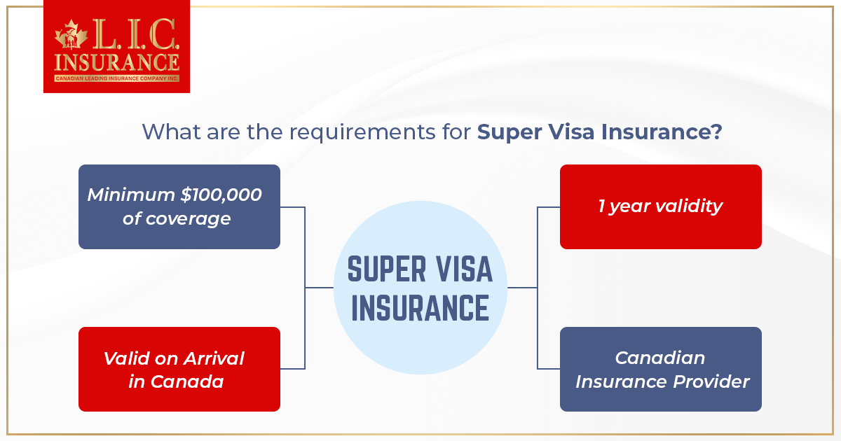 What to Look for in Super Visa Insurance | Canadian L.I.C