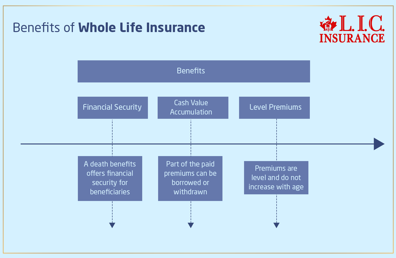 What Age Does Whole Life Insurance End? | Canadian LIC