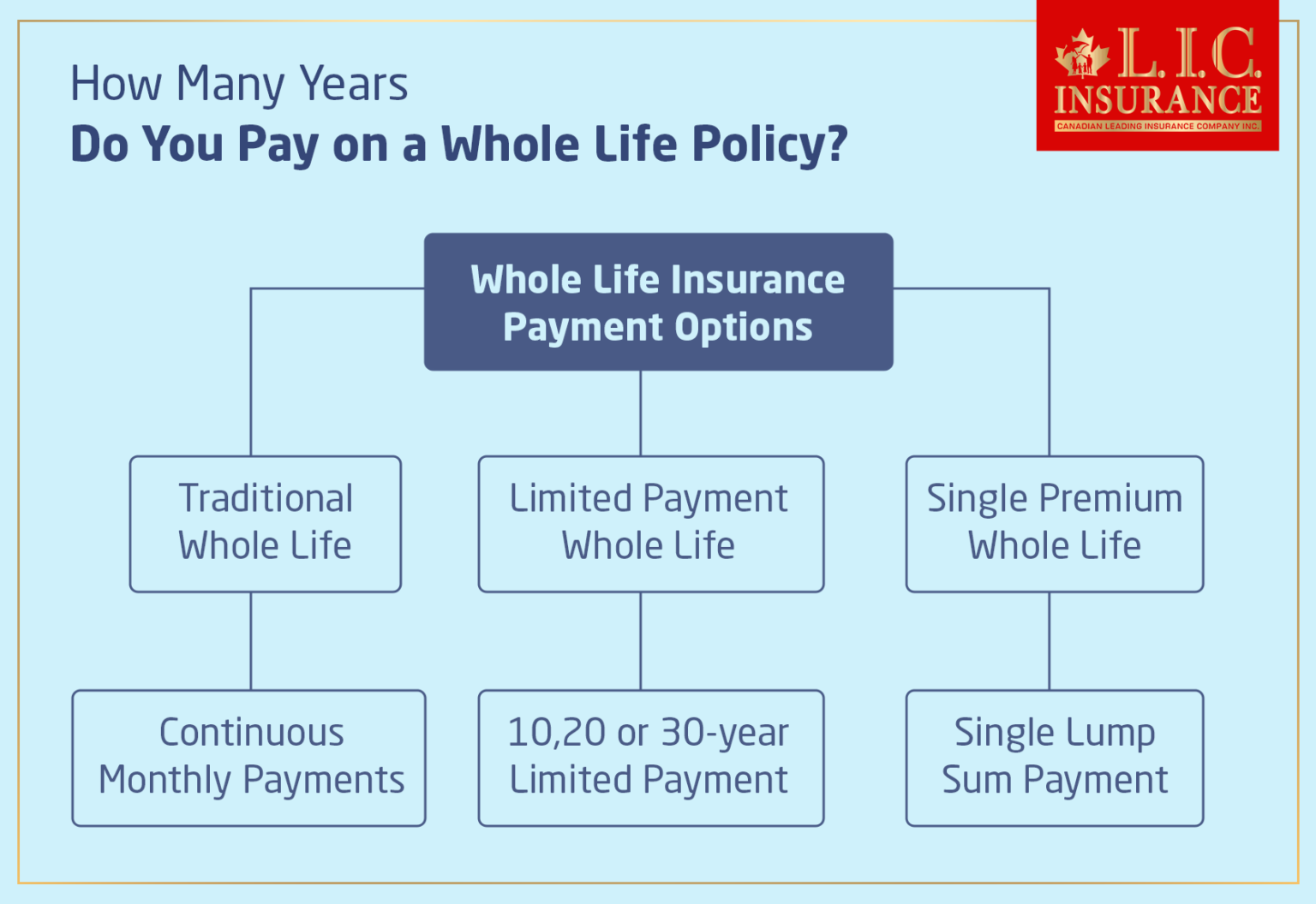 How Many Years Do You Pay on a Whole Life Policy? | Canadian LIC
