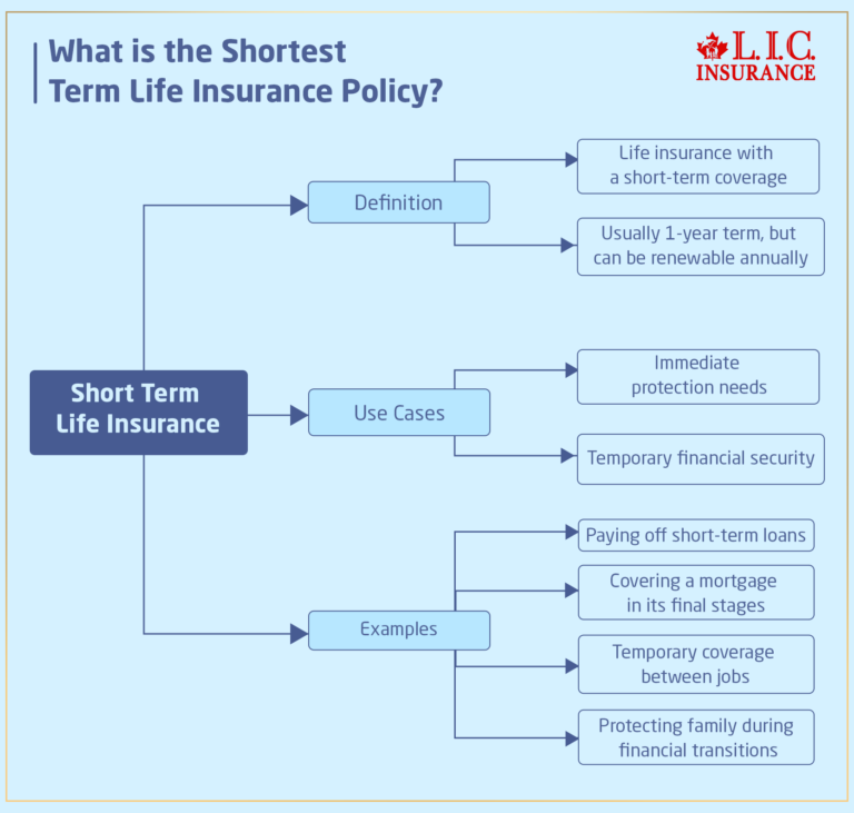 What Is the Shortest-Term Life Insurance Policy? | Canadian LIC