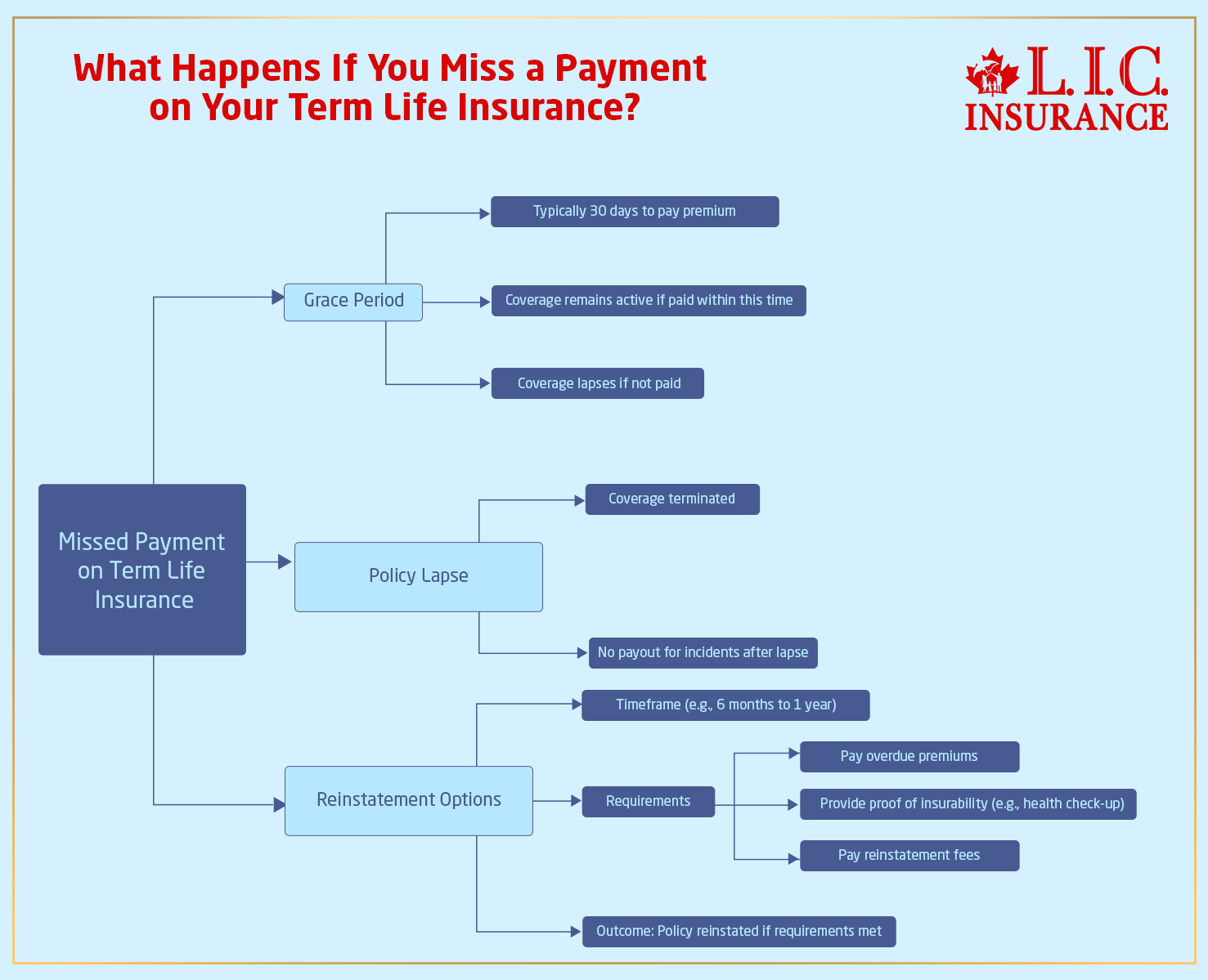 What Happens If You Can't Pay Your Term Life Insurance? | Canadian LIC