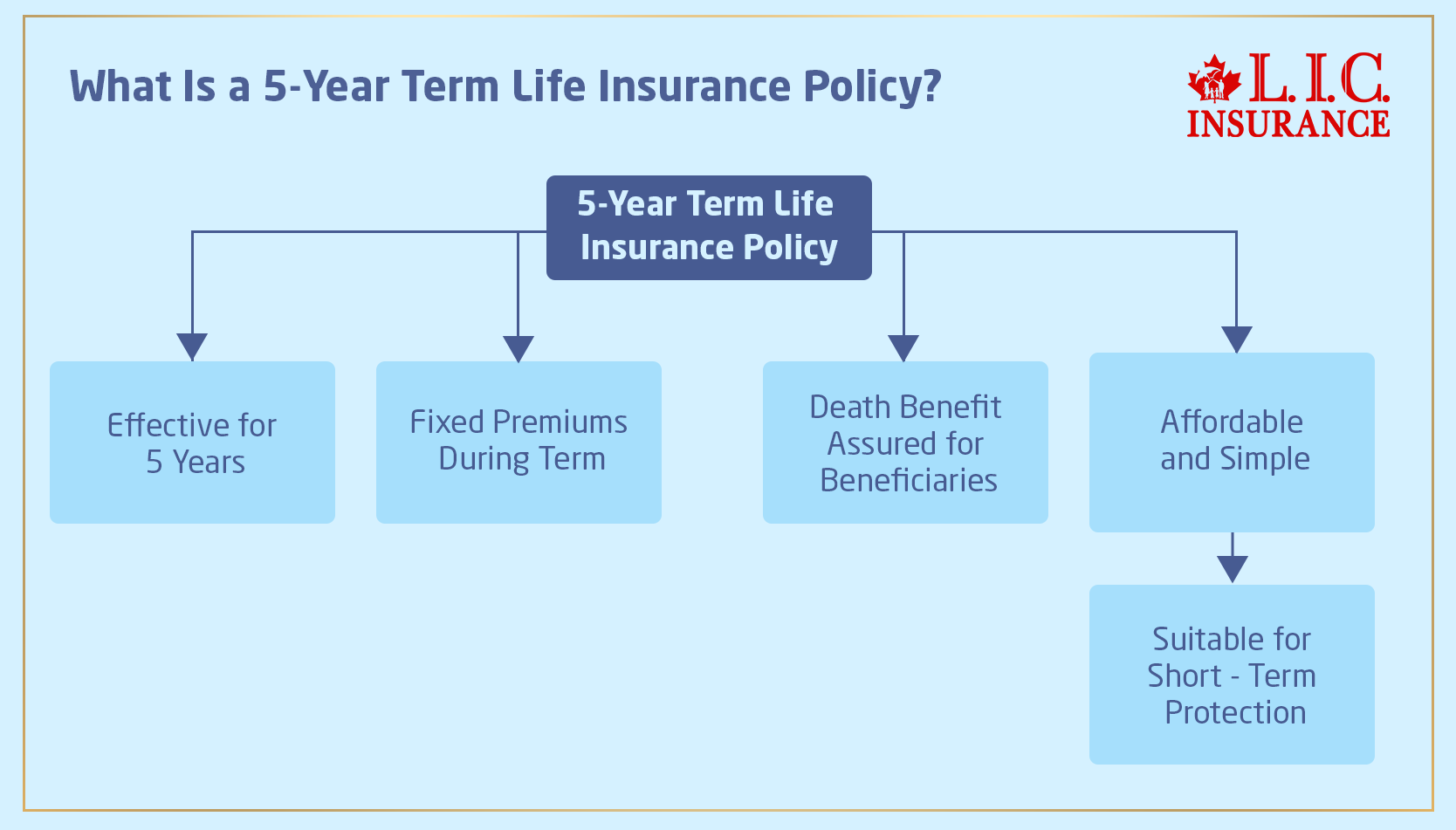 What is a 5-Year Term Life Insurance Policy? | Canadian LIC