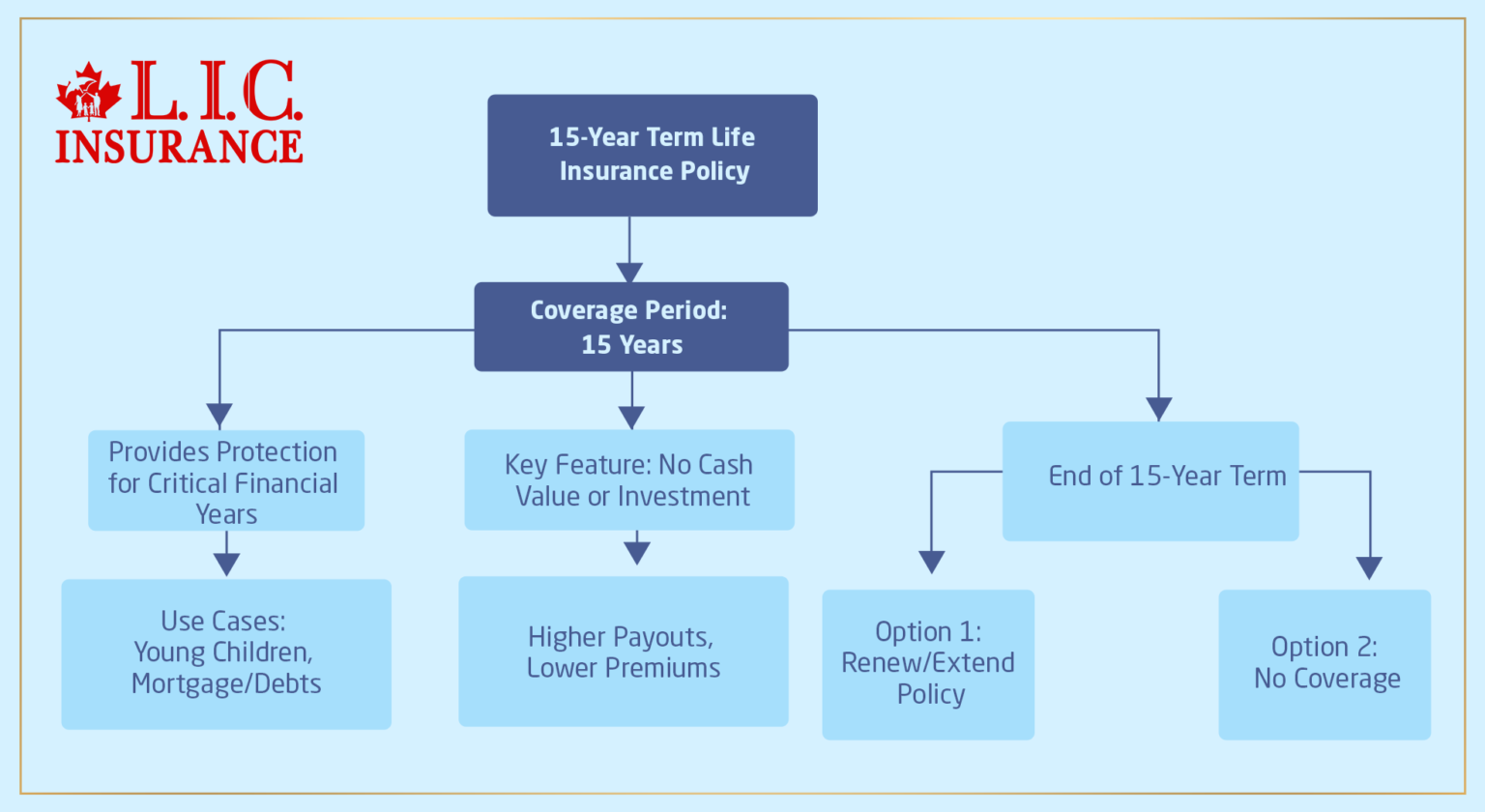 What Happens After 15 Year Term Life Insurance? | Canadian LIC