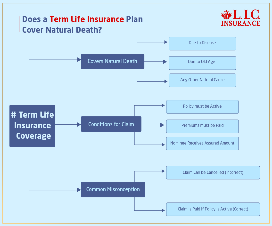 Is Natural Death Covered In Term Insurance? | Canadian LIC