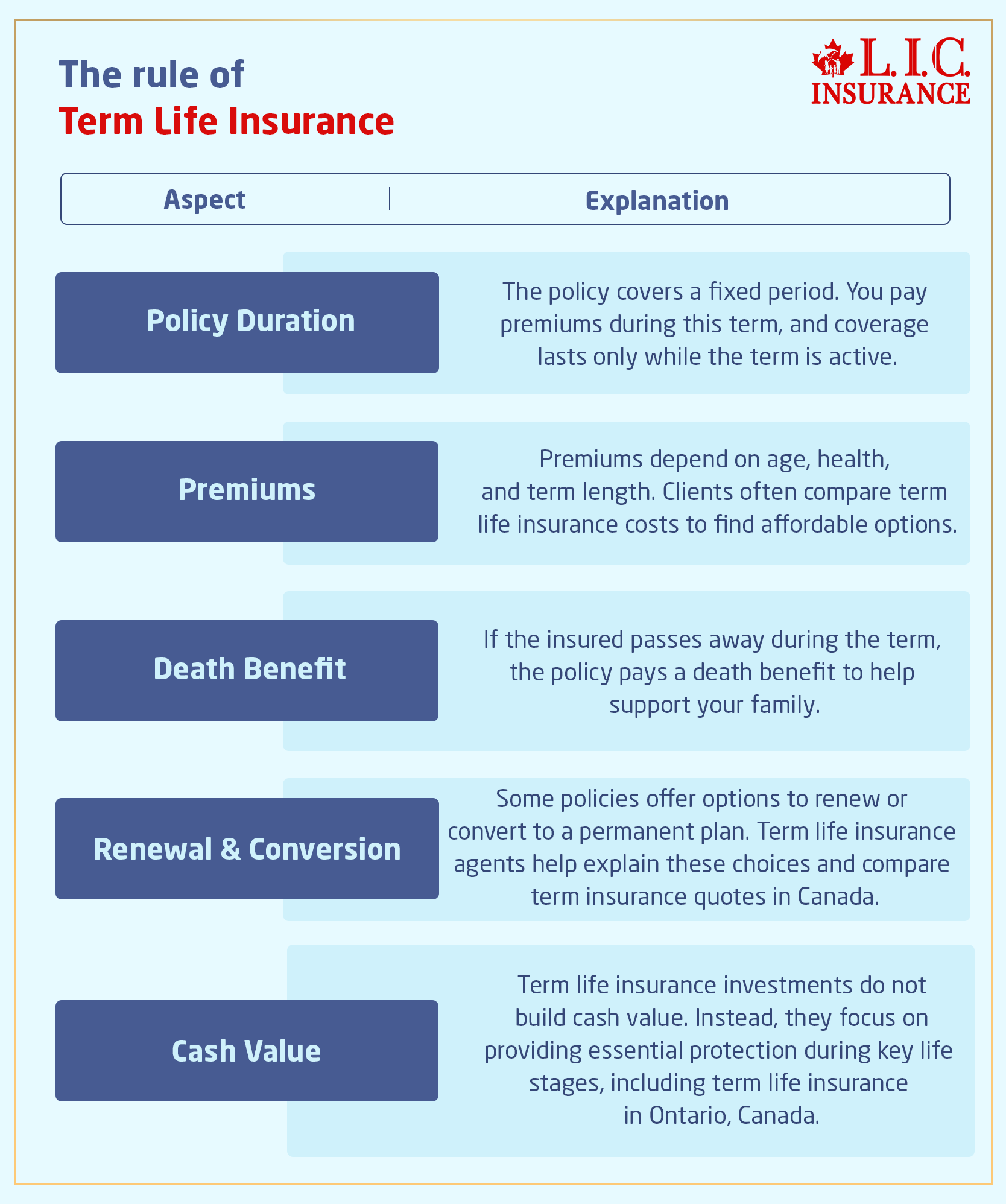 What Is The Rule Of Term Life Insurance? | Canadian LIC