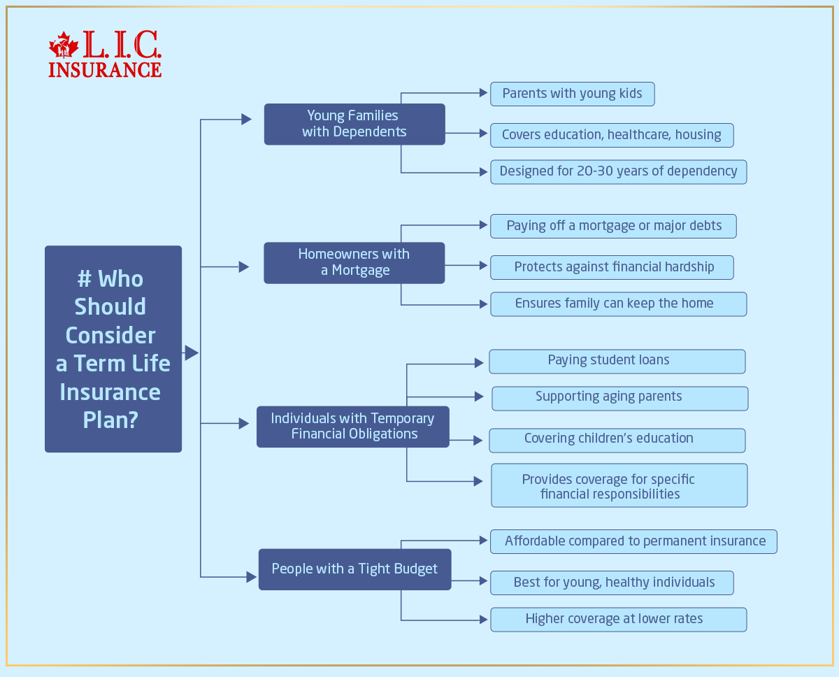 Who Is Best Advised To Purchase A Term Plan? | Canadian LIC